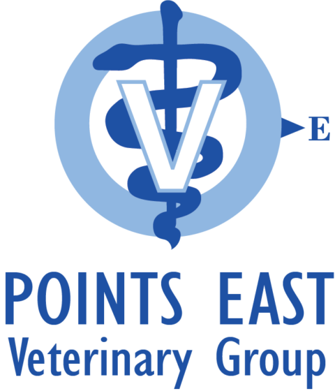 Emergency Care Services | Wilson, NC | Points East Veterinary Specialty ...